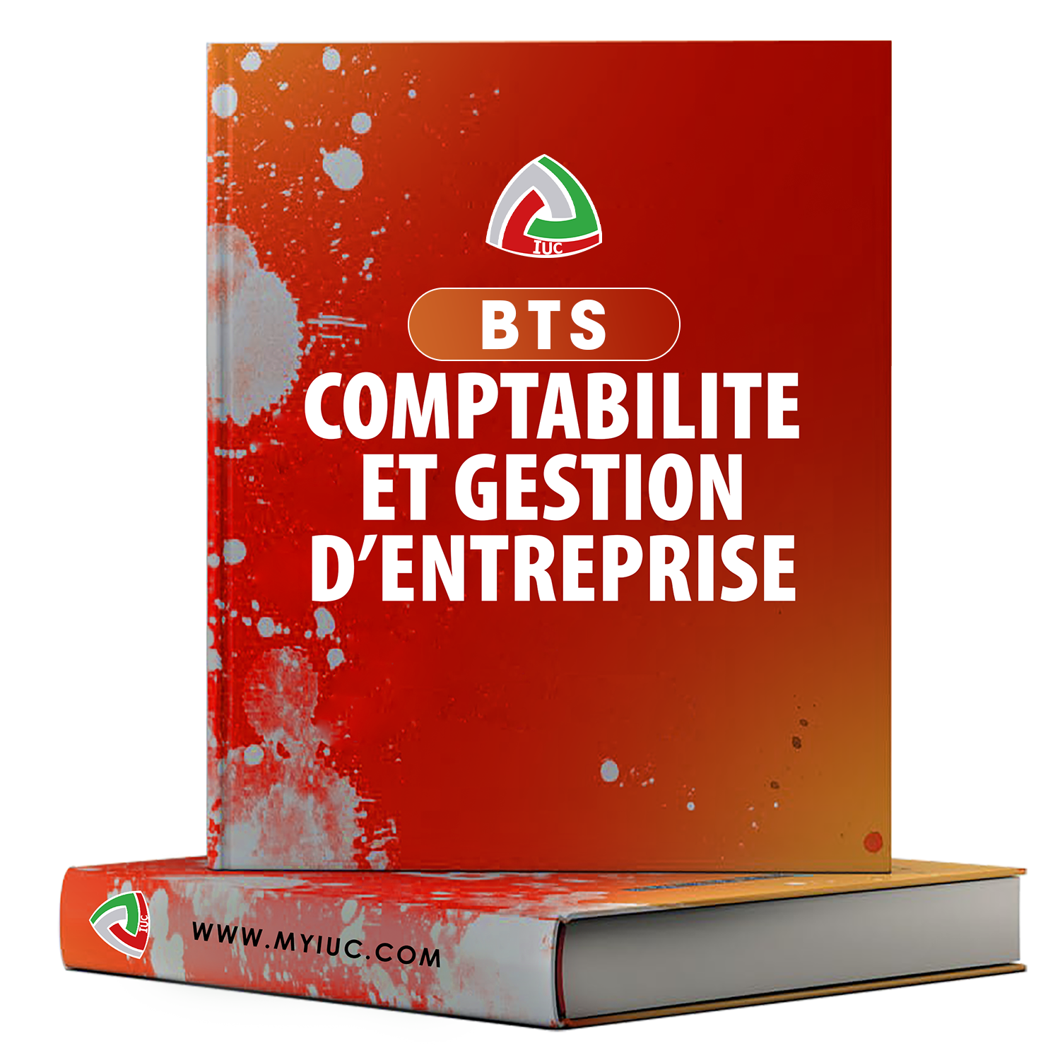 BTS – COMPTABILITE ET GESTION D’ENTREPRISE – IUC | Institut ...