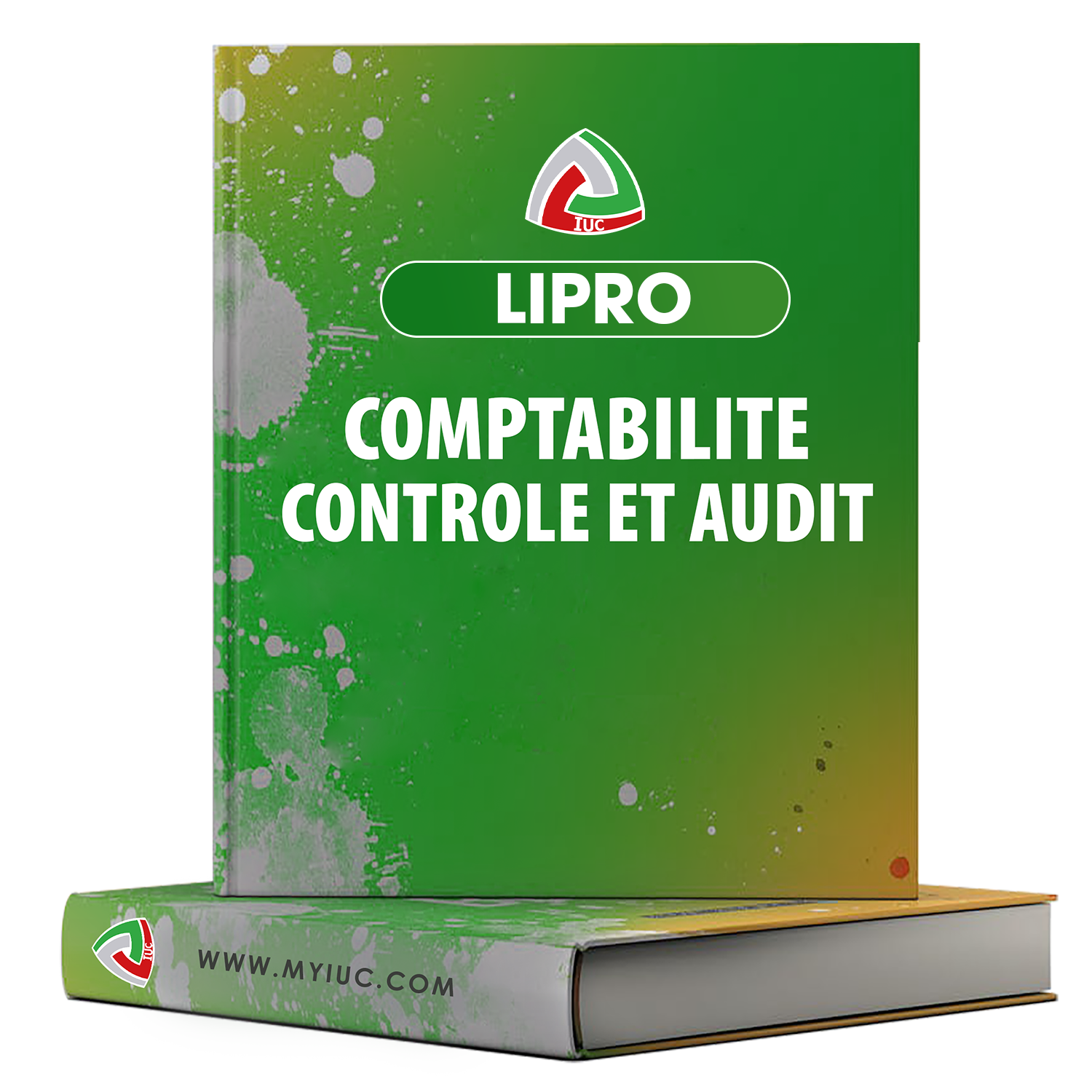 LIPRO – COMPTABILITE CONTROLE ET AUDIT – IUC | Institut Universitaire ...