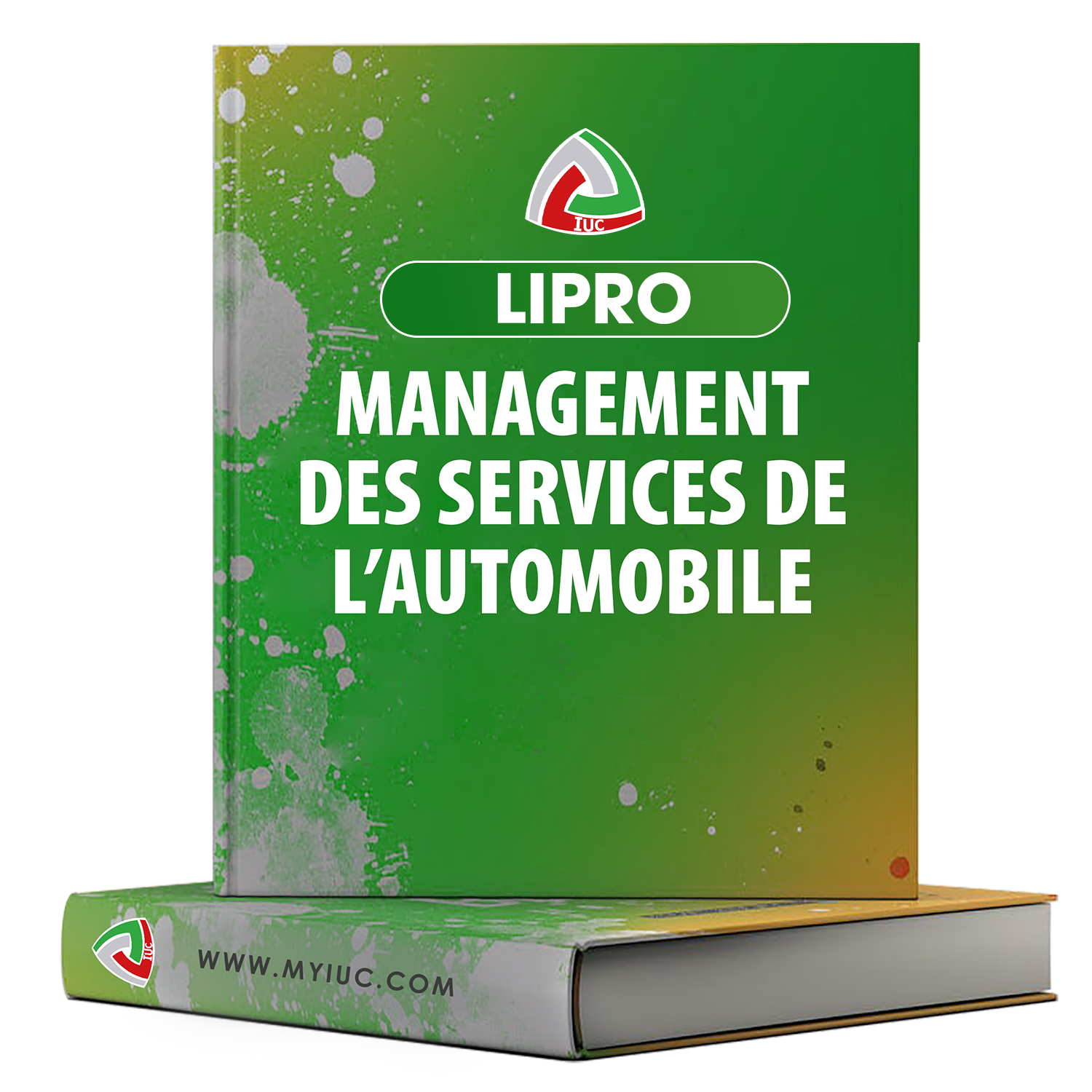 LIPRO – MANAGEMENT DES SERVICES DE L’AUTOMOBILE – IUC | Institut ...