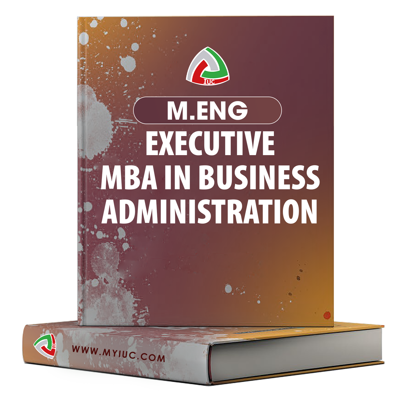 EXECUTIVE MBA IN BUSINESS ADMINISTRATION – IUC | Institut Universitaire ...