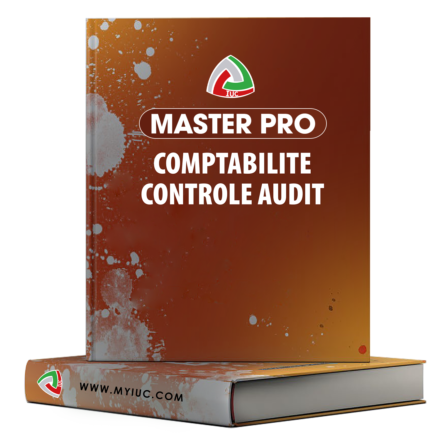 M.PRO – COMPTABILITE CONTROLE AUDIT – IUC | Institut Universitaire de ...