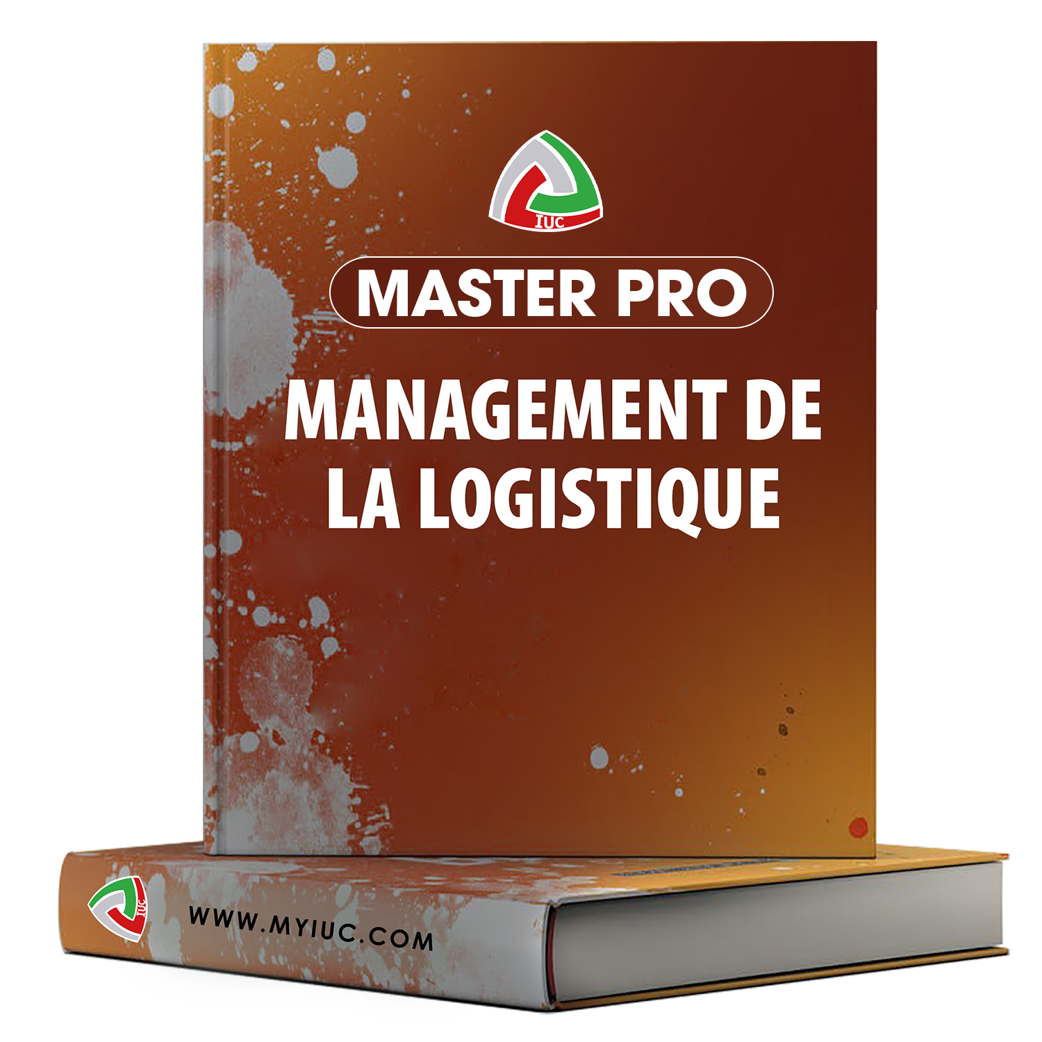 M.PRO – MANAGEMENT DE LA LOGISTIQUE – IUC | Institut Universitaire de ...