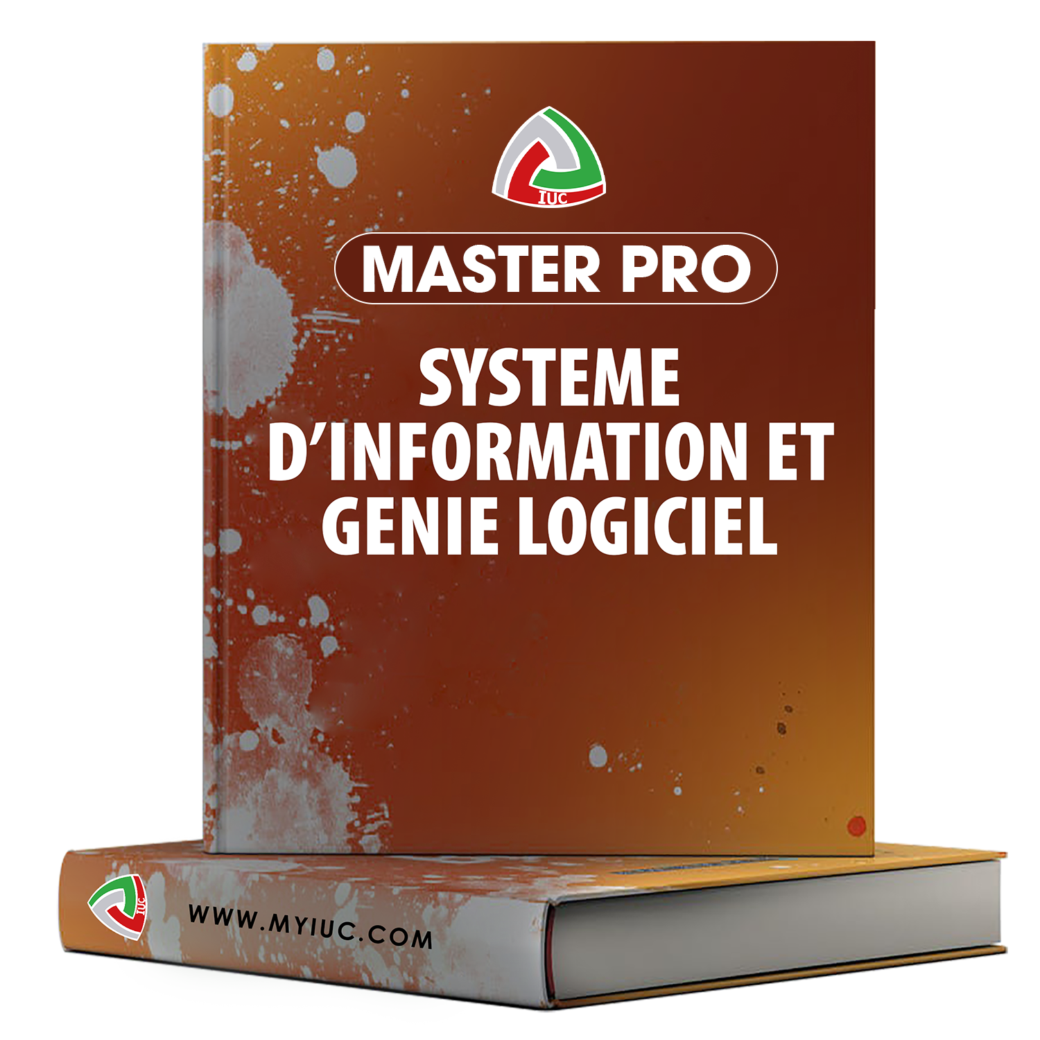 M.PRO – SYSTEME D’INFORMATION ET GENIE LOGICIEL – IUC | Institut ...